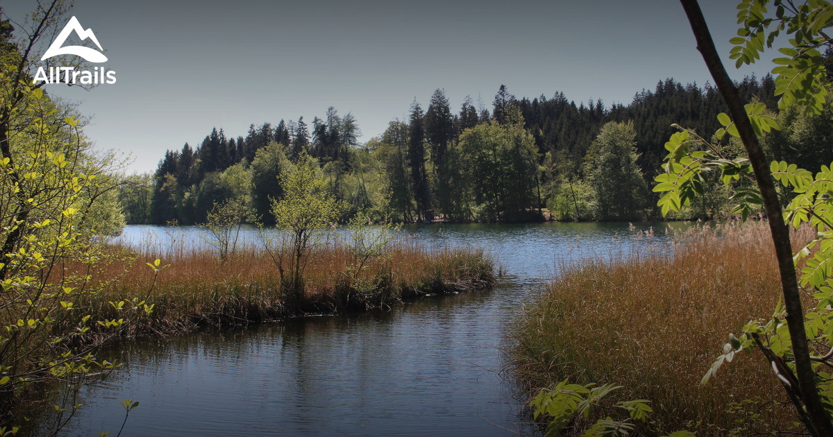 10 Best trails and hikes in Obing | AllTrails