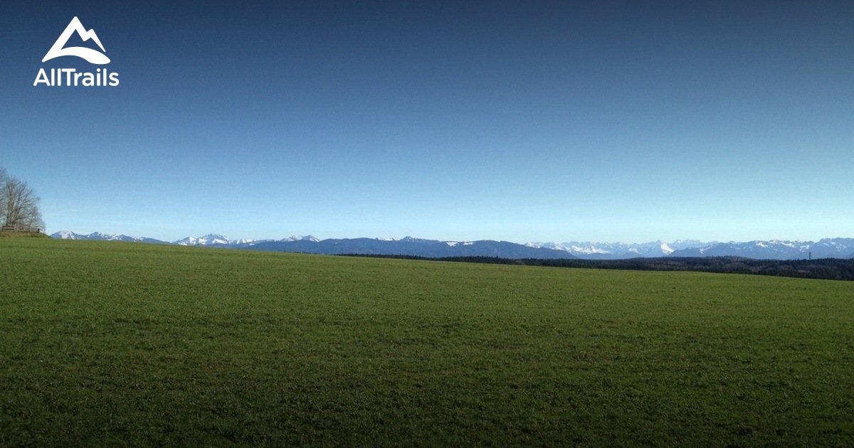 Best forest trails in Otterfing | AllTrails