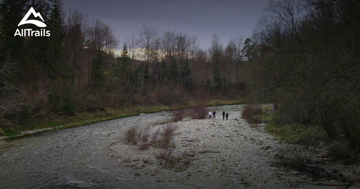 Die Besten Waldwege in Palling | AllTrails