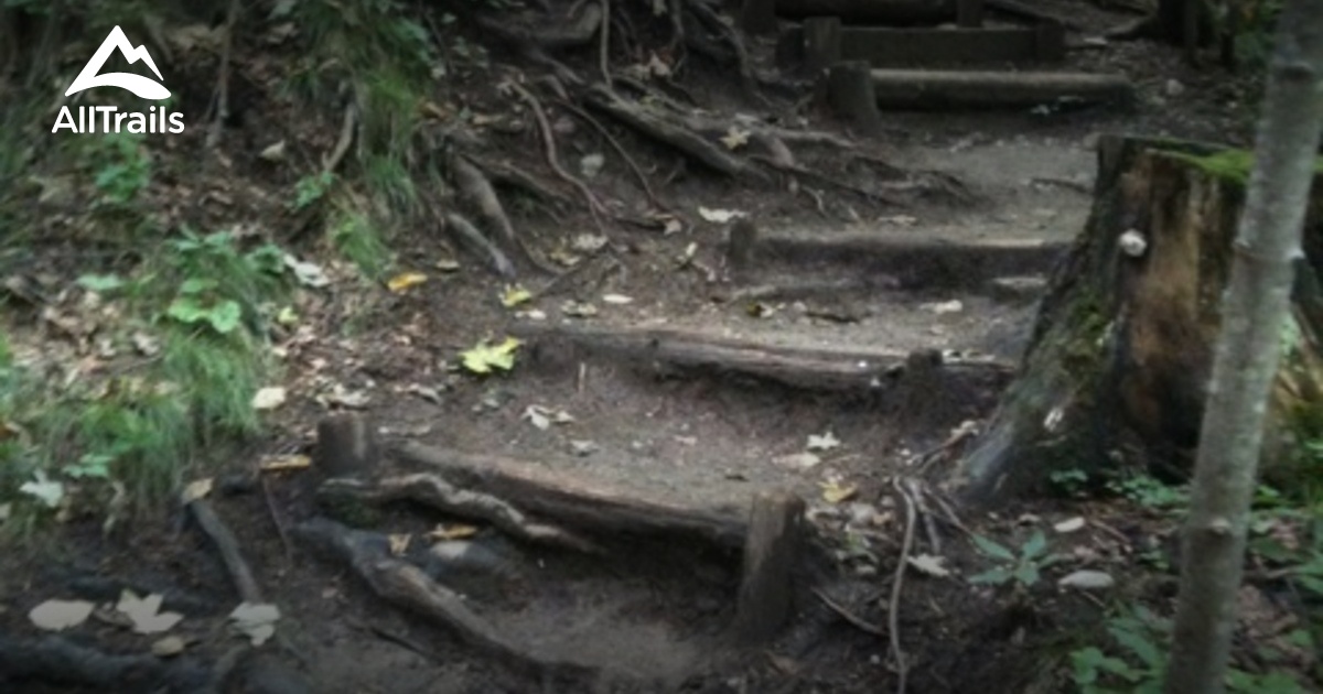 2023 Best River Trails in Peiting | AllTrails