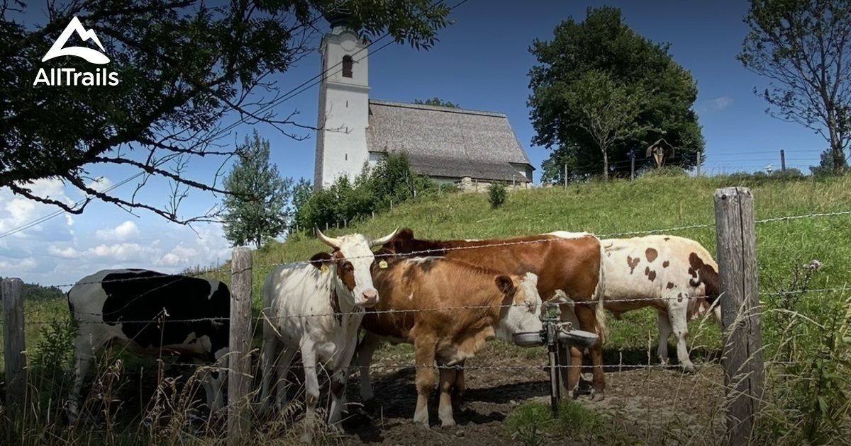 Best hikes and trails in Piding | AllTrails