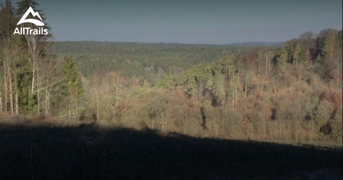 Best hikes and trails in Rieden | AllTrails