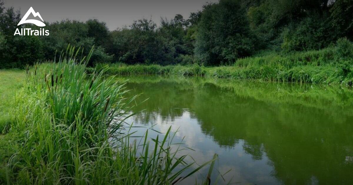 10 Best trails and hikes in Spalt | AllTrails