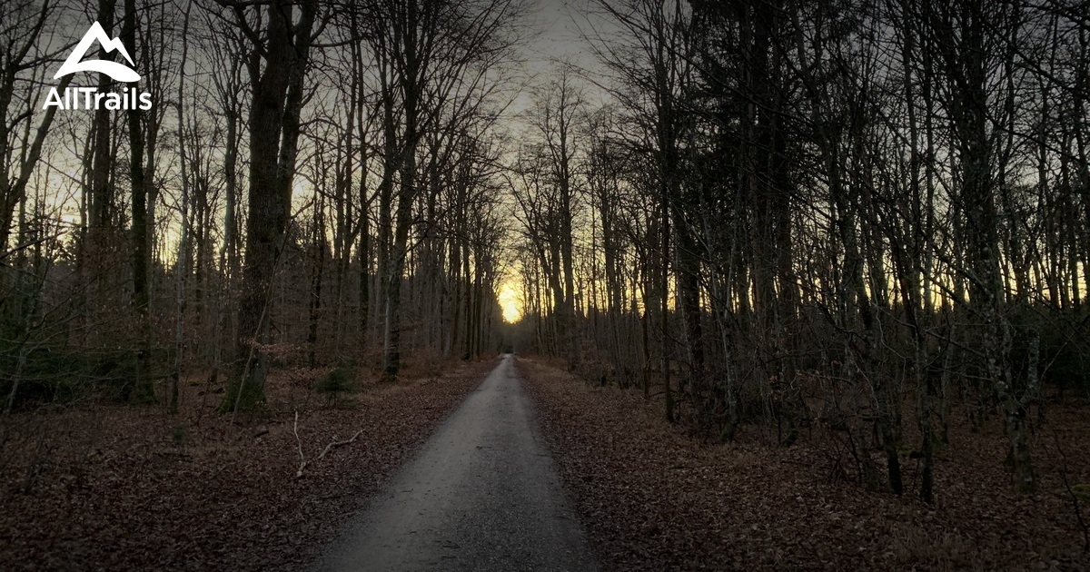 Best hikes and trails in Taufkirchen | AllTrails