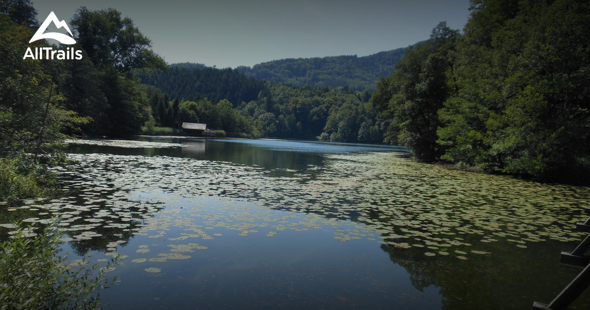 Best waterfall trails in Teisendorf | AllTrails