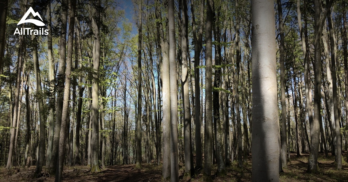 Best hikes and trails in Walting | AllTrails