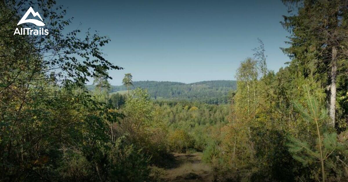 Best lake trails in Wenzenbach | AllTrails