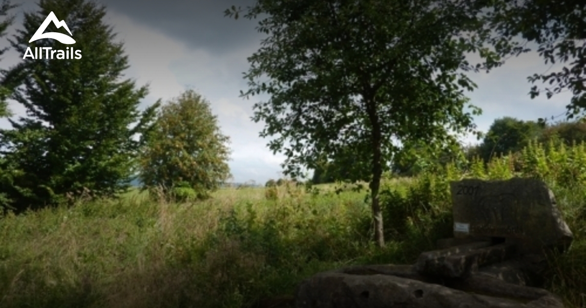 Wildflecken: Die schönsten Routen zum Wandern | AllTrails