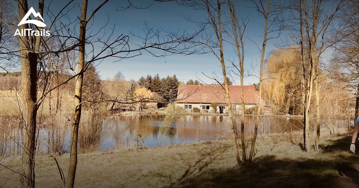 I migliori sentieri nei boschi in Luckaitztal | AllTrails