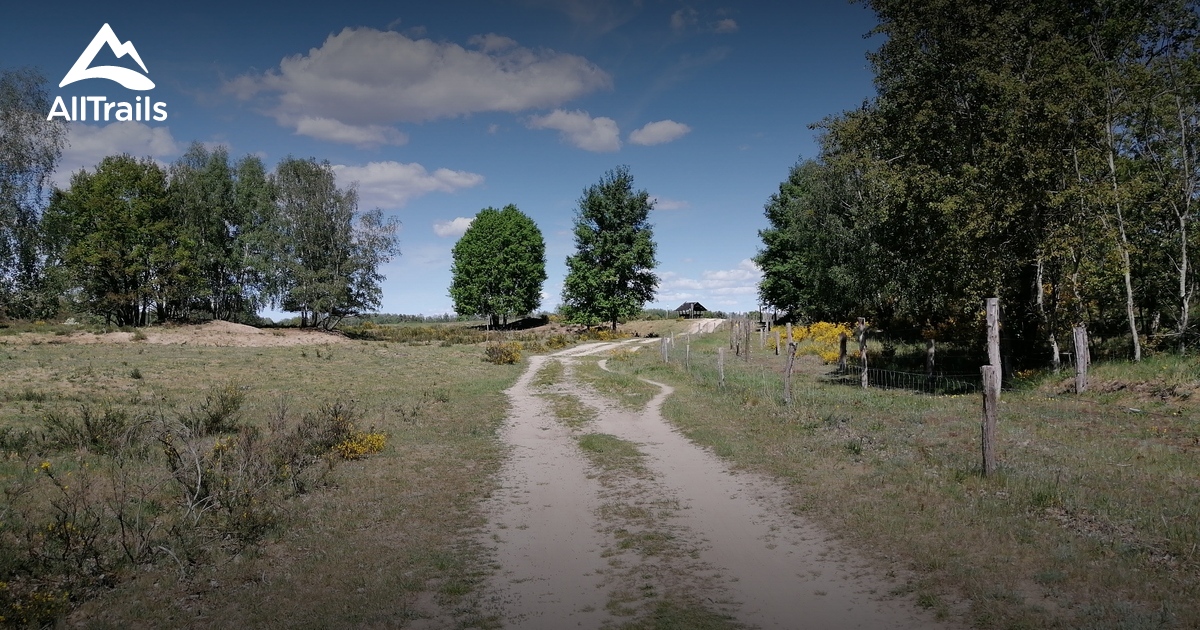 Best hikes and trails in Wustermark | AllTrails