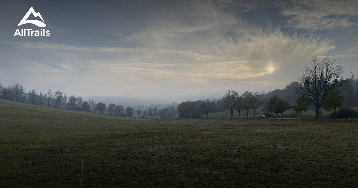 2023 Best 10 Trails and Hikes in Alheim | AllTrails