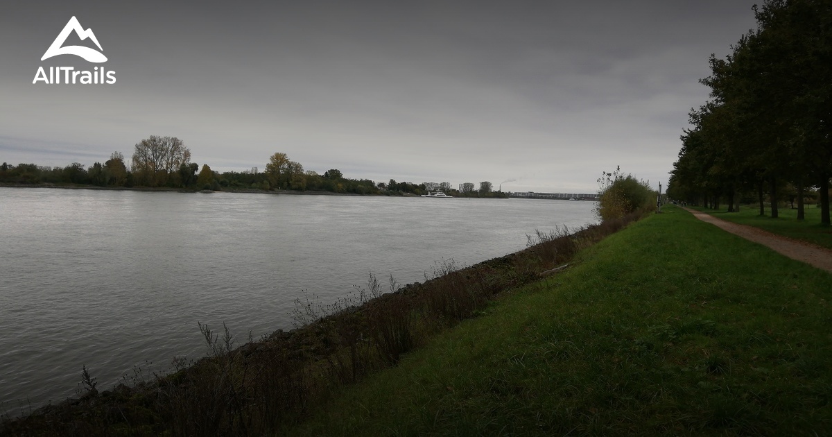 Gernsheim: Die schönsten Routen zum Wandern | AllTrails