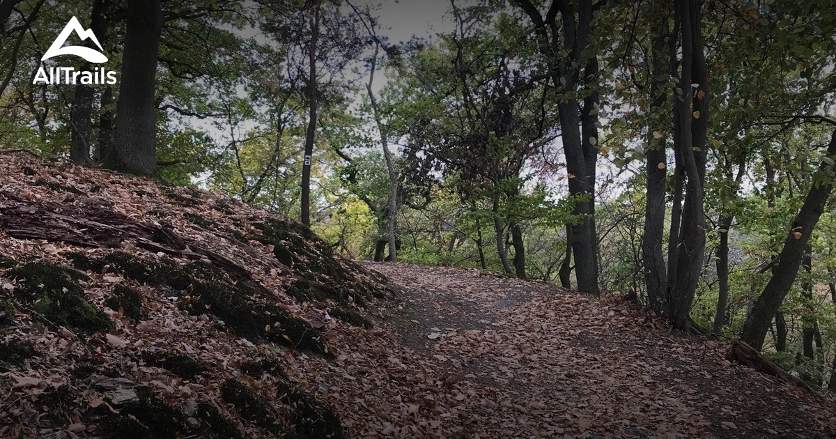 10 Best trails and hikes in Hofheim am Taunus | AllTrails