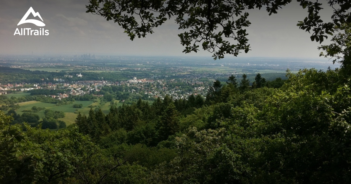 Best long trails in Kelkheim (Taunus) | AllTrails