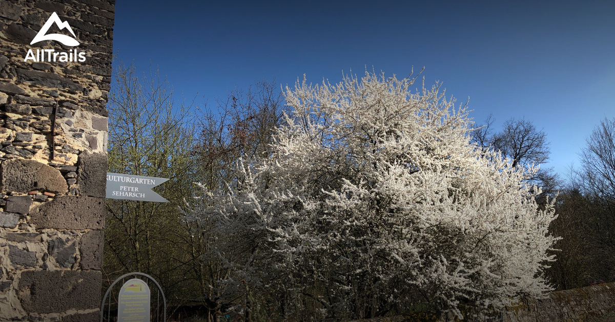 2023 Best Bike Touring Trails in Lich | AllTrails