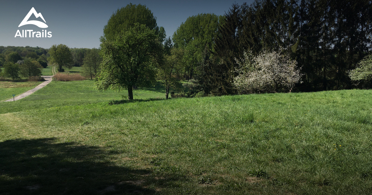 Best hikes and trails in Maintal | AllTrails