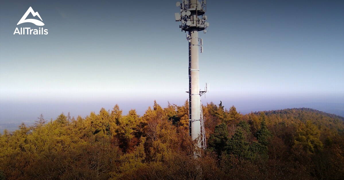 Best long trails in Rodenbach | AllTrails