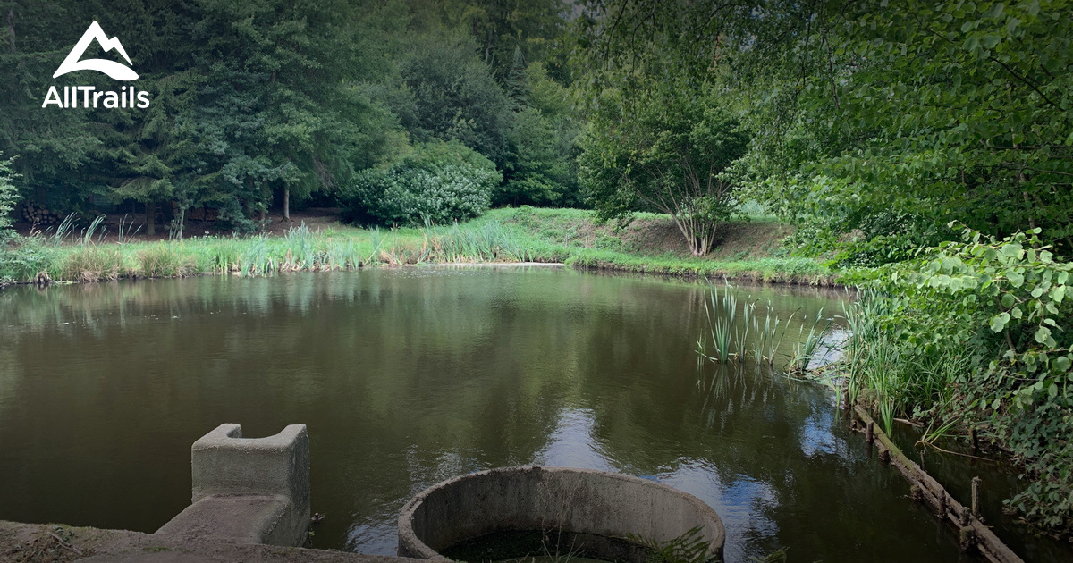 10 Best trails and hikes in Taunusstein | AllTrails