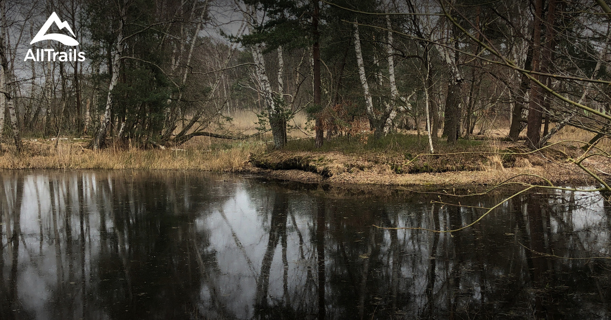 Best long trails in Burgwedel | AllTrails