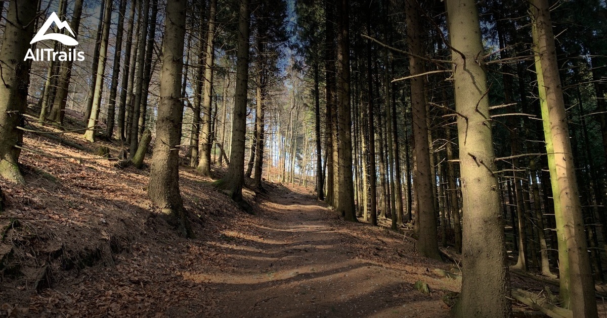 Best Trails near Hagen am Teutoburger Wald, Lower Saxony Germany ...