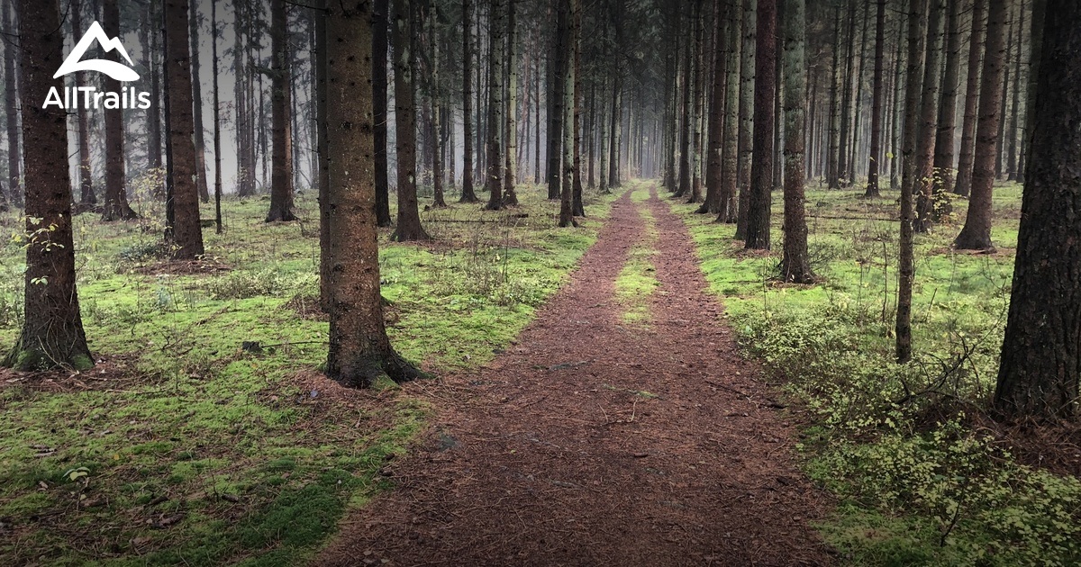 Hollenstedt : les meilleures randonnées avec vue panoramique | AllTrails