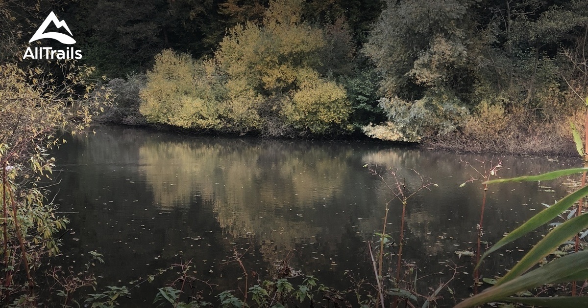 Best views trails in Lemwerder | AllTrails