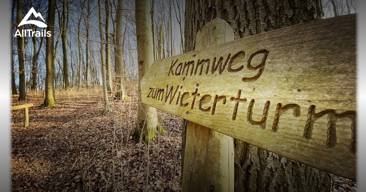 Northeim: Die schönsten Routen zum Wandern | AllTrails