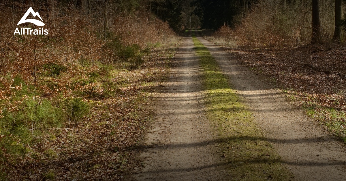 Oldendorf: Die schönsten Routen zum Wandern | AllTrails