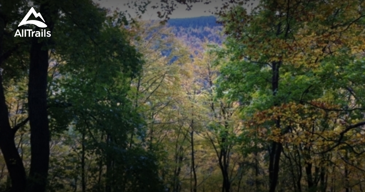 Seesen: Die 10 schönsten Routen zum Wandern | AllTrails