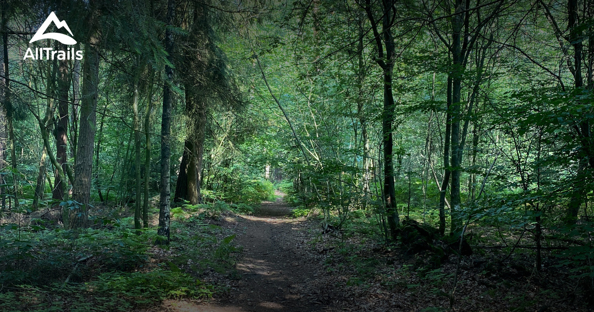 Best short trails in Stadthagen | AllTrails