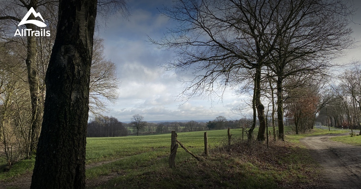 10 Best trails and hikes in Uelsen | AllTrails