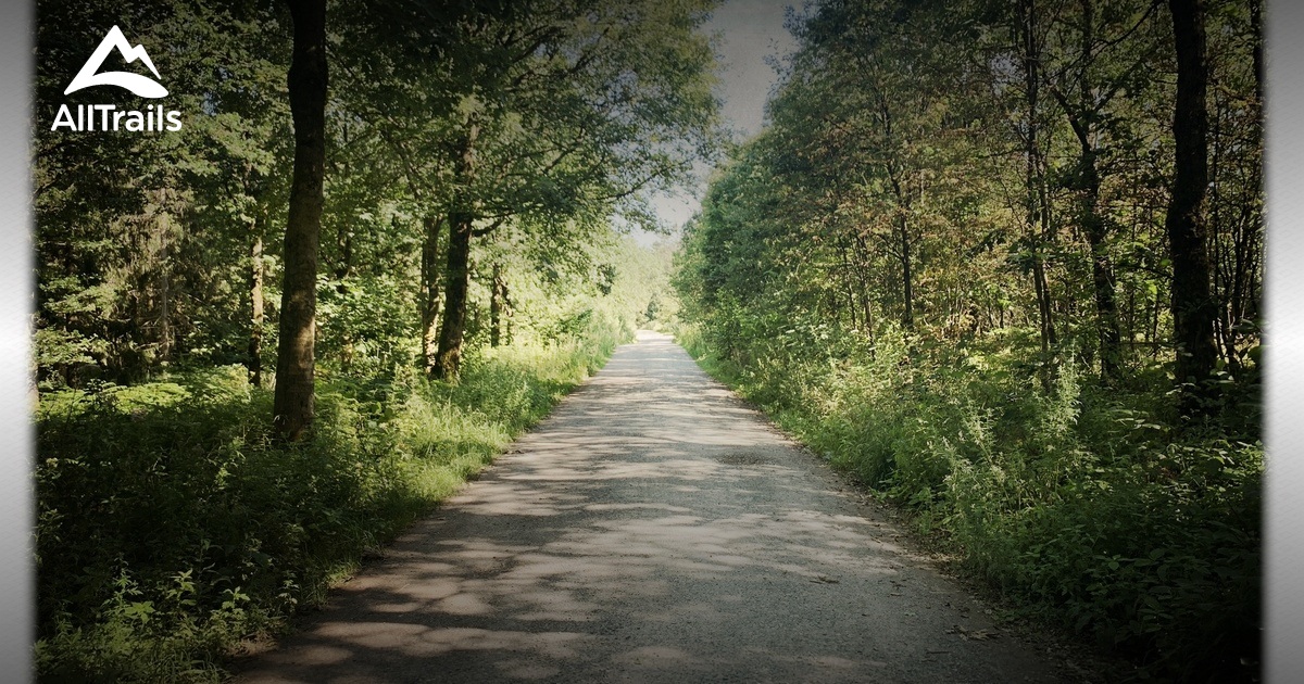 Best long trails in Wennigsen | AllTrails