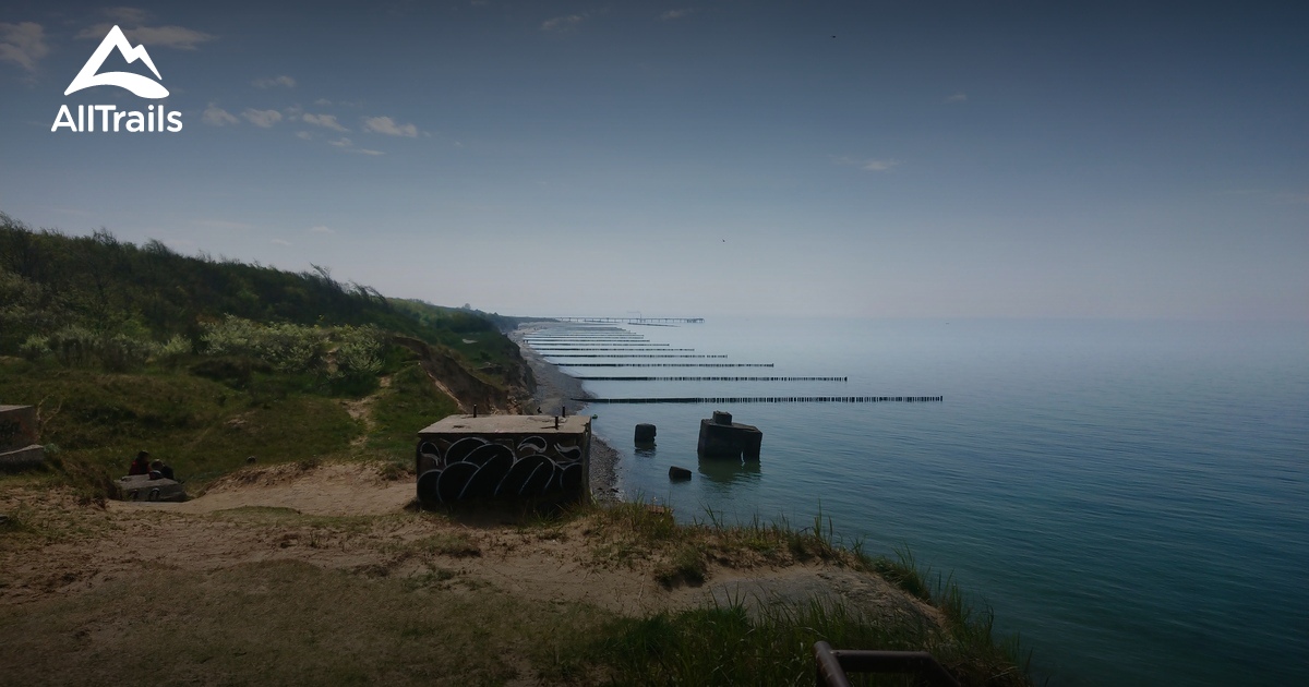 Best forest trails in Born am Darß | AllTrails