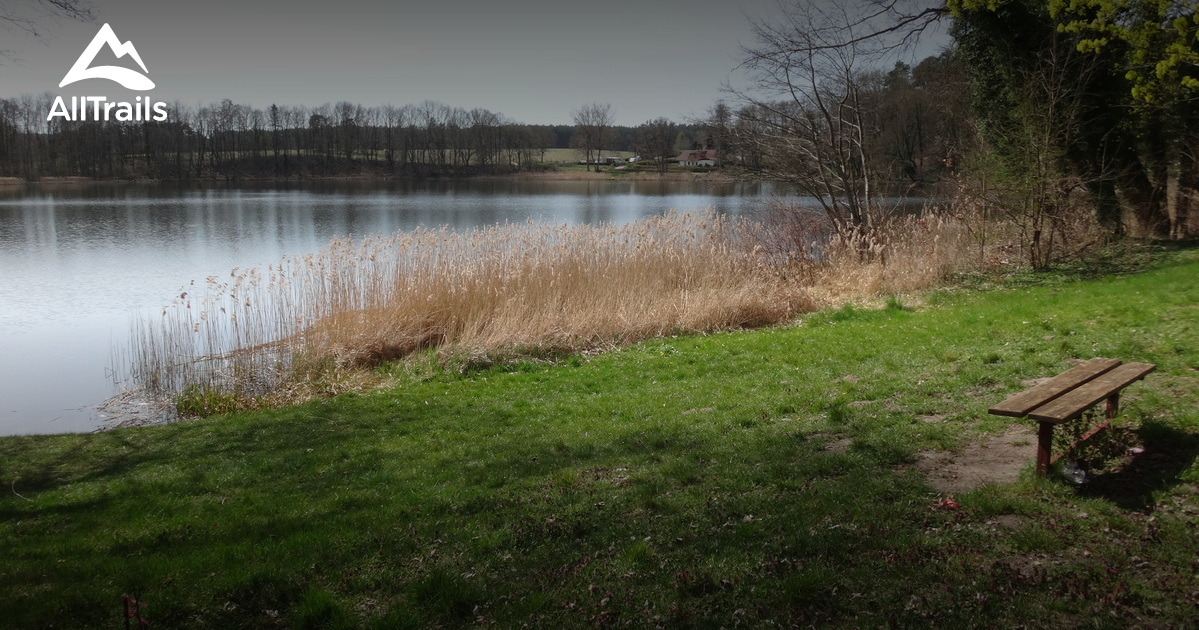 Best hikes and trails in Kuhlen-Wendorf | AllTrails