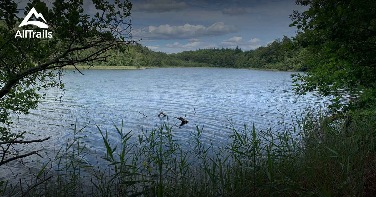 Best wildflower trails in Wustrow | AllTrails