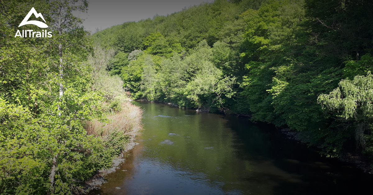 10 Best trails and hikes in Burscheid | AllTrails