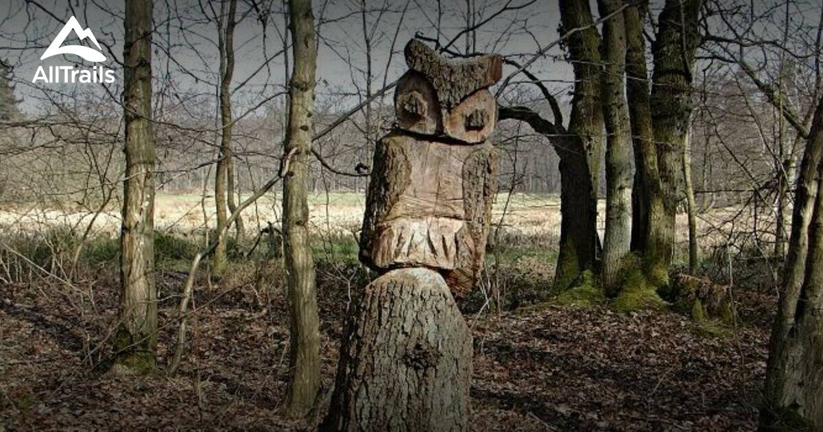 Melhores trilhos pavimentados em Düren | AllTrails