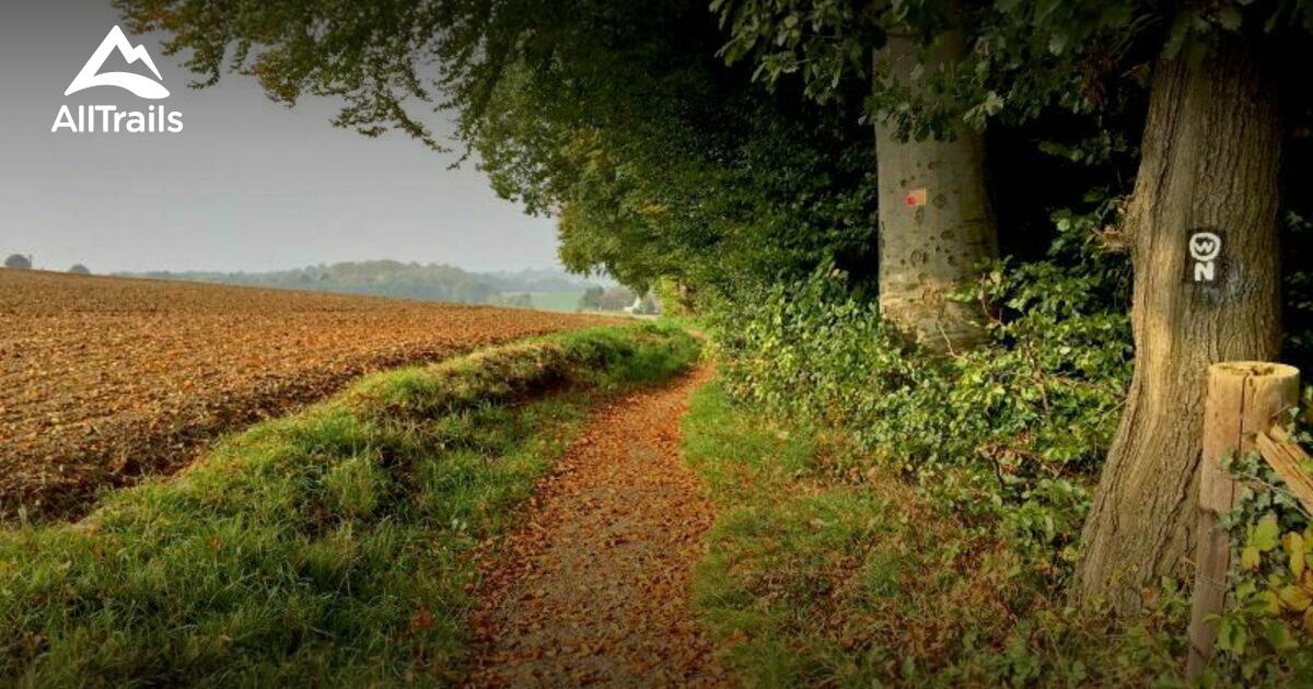 10 Best moderate trails in Haan | AllTrails
