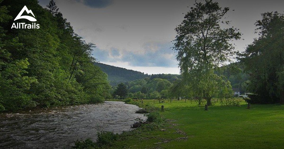 Best easy trails in Hammer | AllTrails