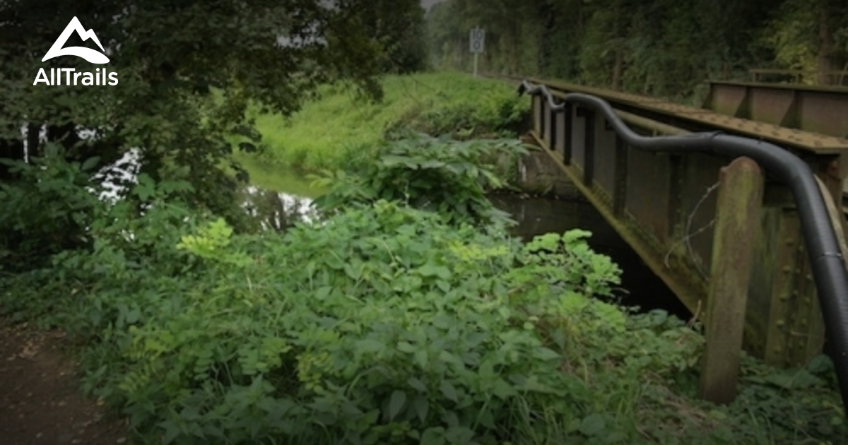 Hamminkeln: Die 10 schönsten Routen zum Wandern | AllTrails