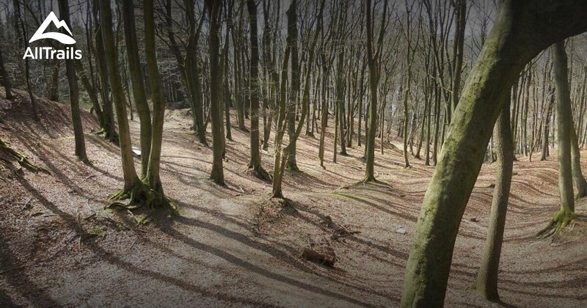 Los mejores senderos difíciles en Hemer | AllTrails