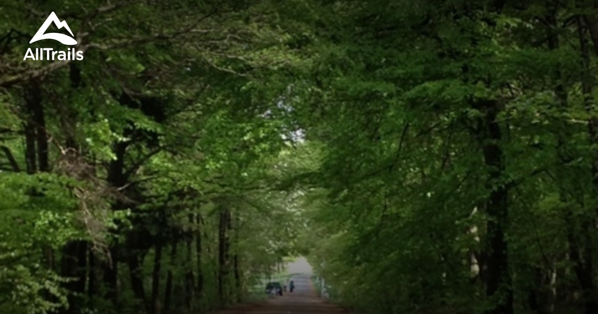 2023 Best 10 Easy Trails in Hürtgenwald | AllTrails