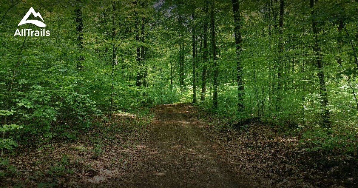 Best waterfall trails in Cologne | AllTrails