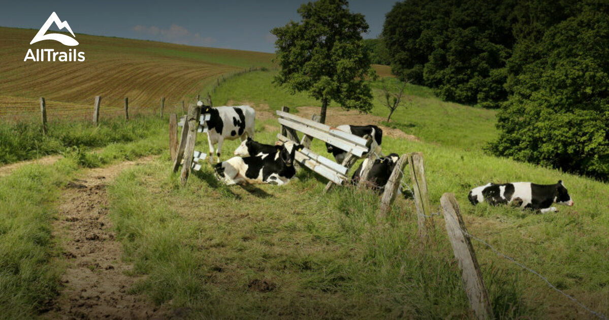 Best camping trails in Lohmar | AllTrails