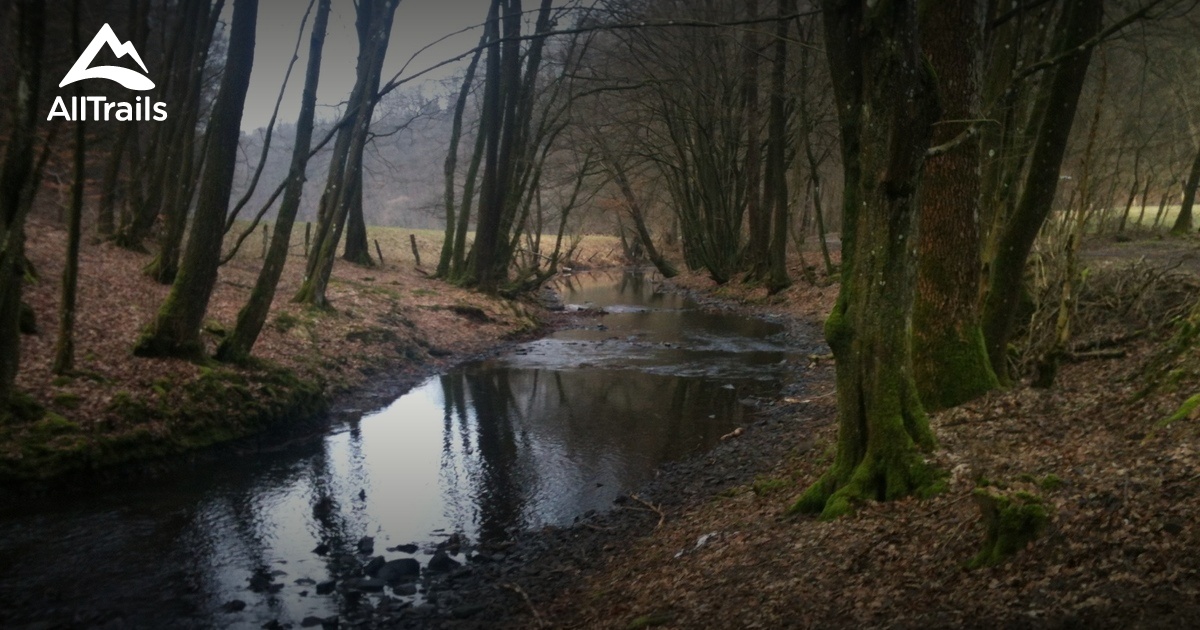Odenthal: Die 10 schönsten Routen zum Wandern | AllTrails