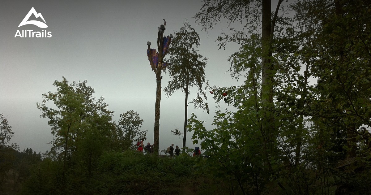 10 Best Long Trails in Olsberg | AllTrails