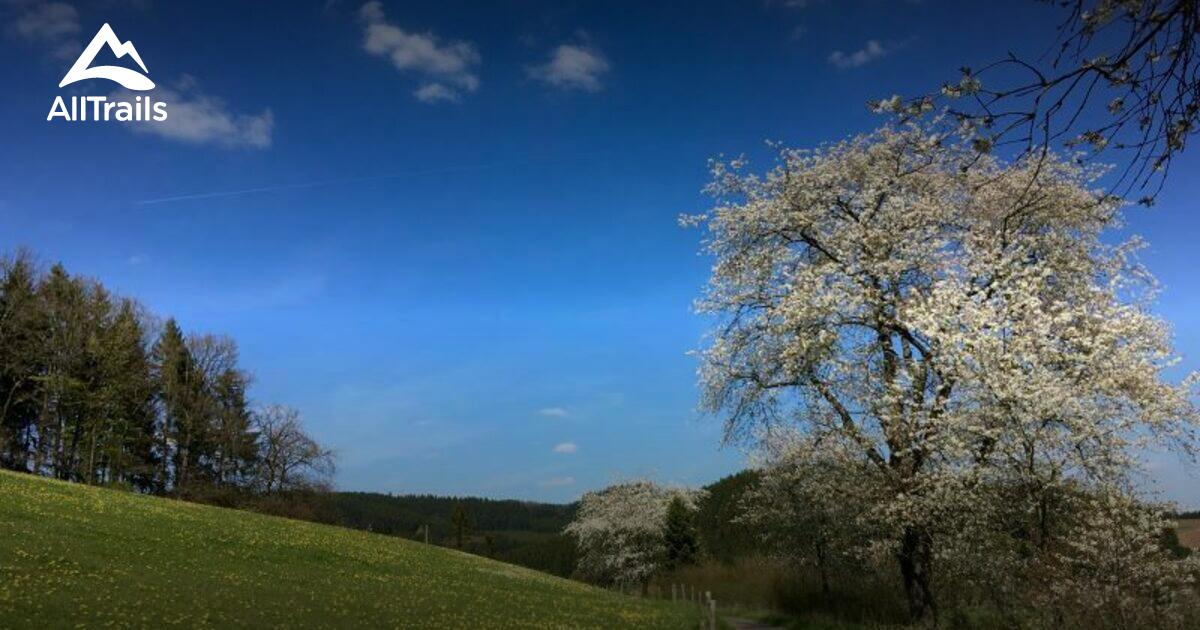 Bedste korte ruter i Plettenberg | AllTrails