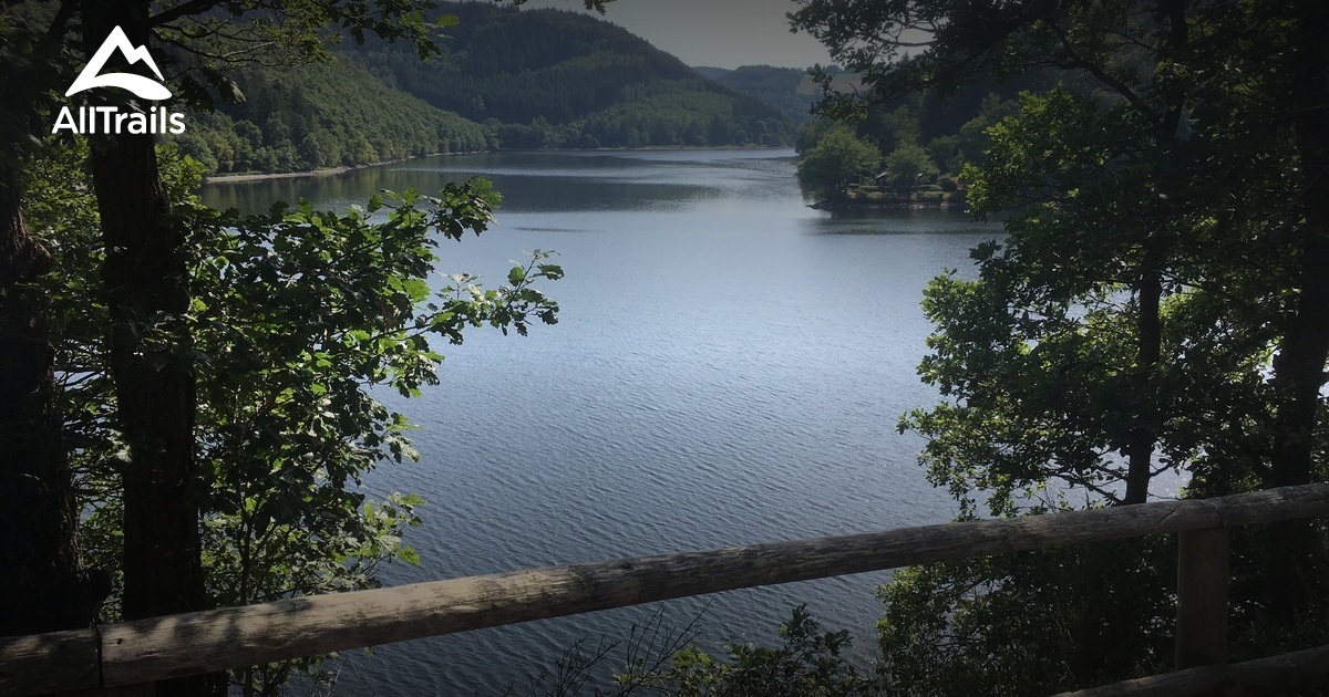 Simmerath : les 10 meilleurs itinéraires avec un lac | AllTrails