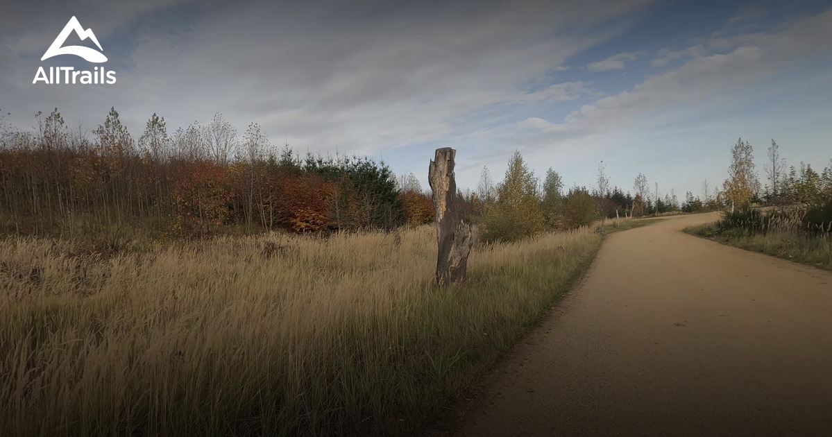 Best hikes and trails in Titz | AllTrails