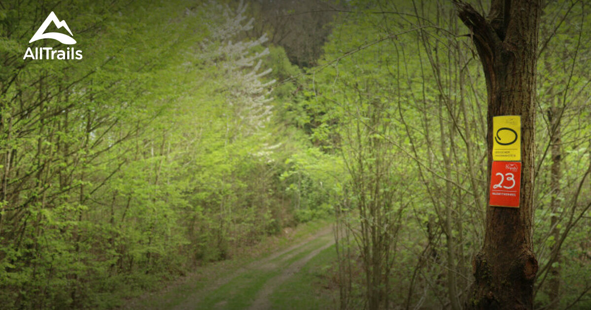 Bedste nemme ruter i Waldbröl | AllTrails